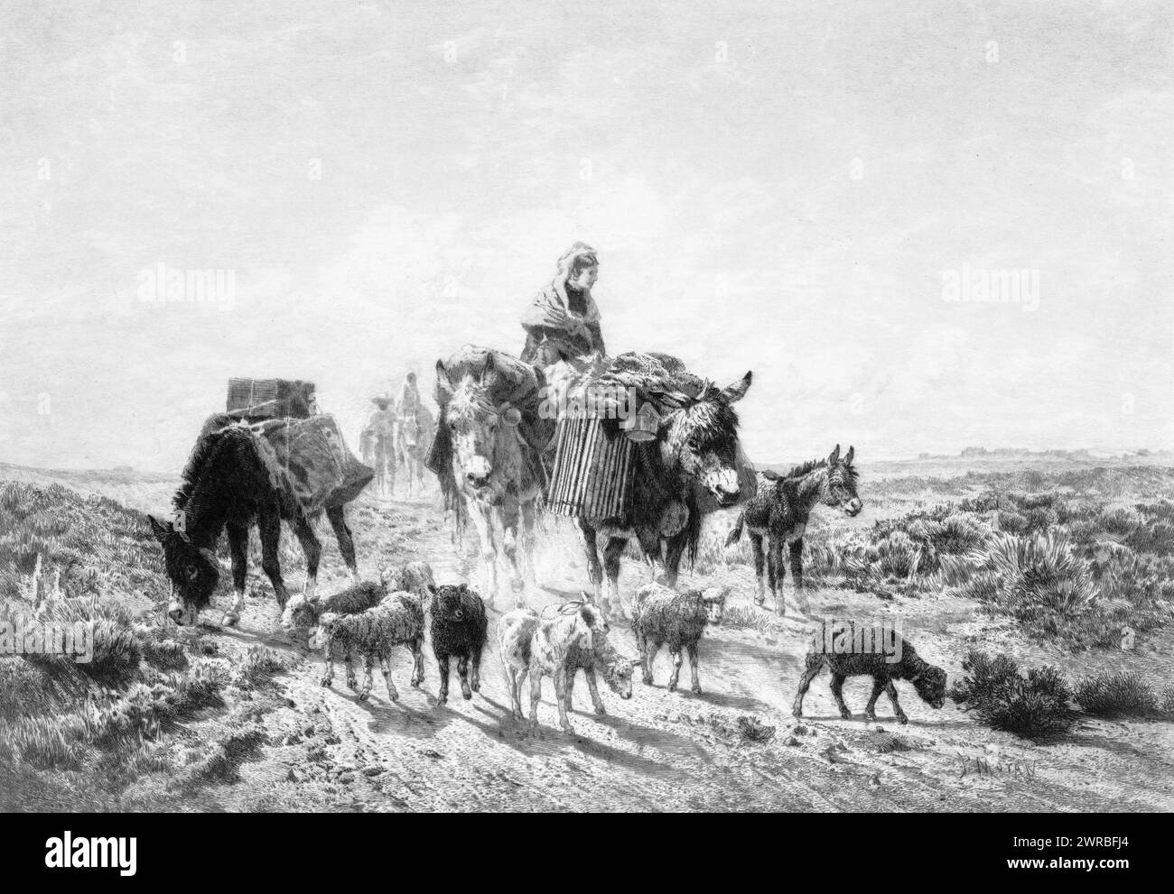 Mexico people 1914 hi-res stock photography and images - Alamy