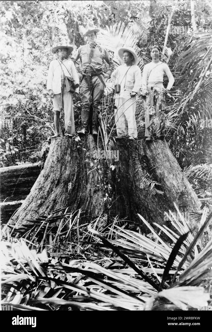 Four men standing on a large stump in lumbering region, Mindoro ...