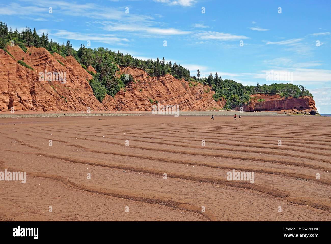 Sandy beach beach at low tide, cliffs, red sandstone, Five Islands ...
