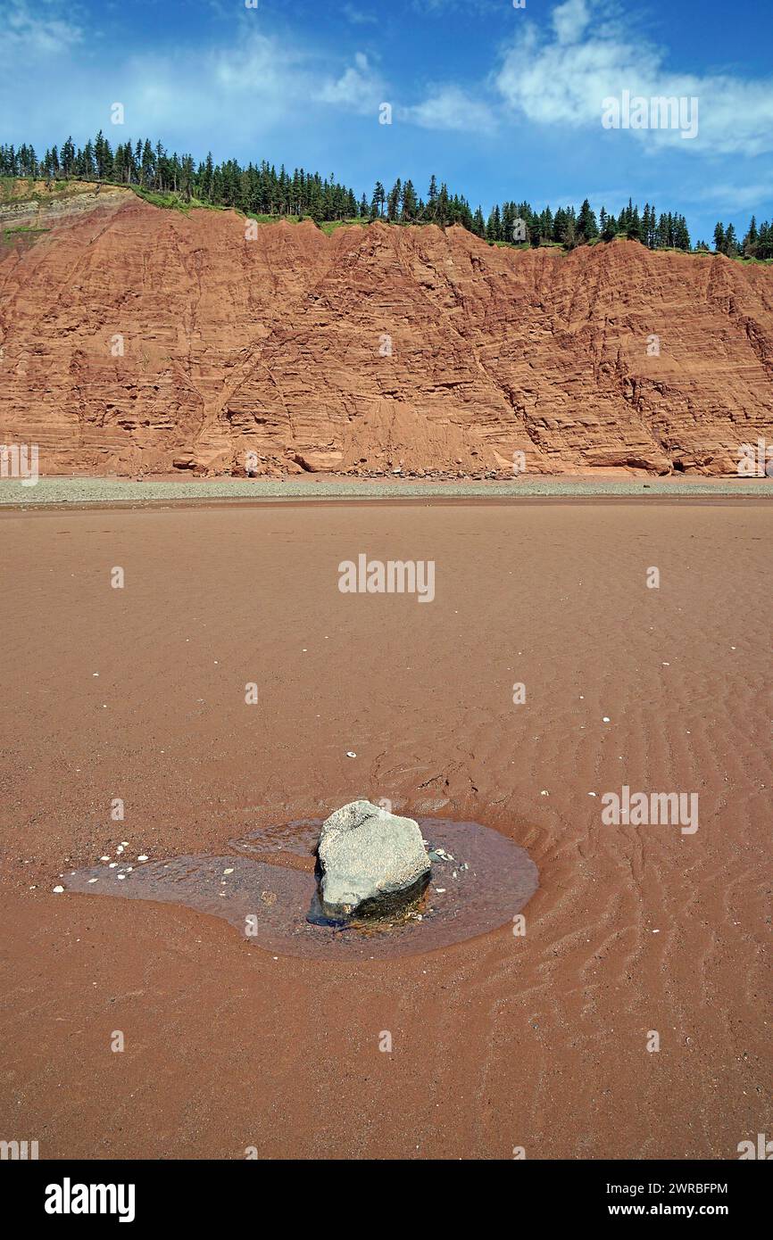 Erratic boulder on the beach at low tide, cliffs, red sandstone, Five ...
