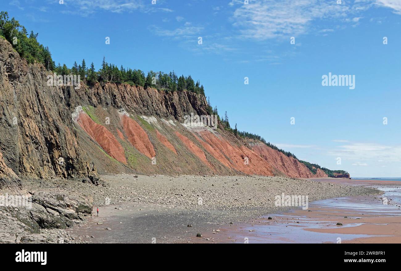 Cliffs, red sandstone, Five Islands Provincial Park, Fundy Bay, Nova ...
