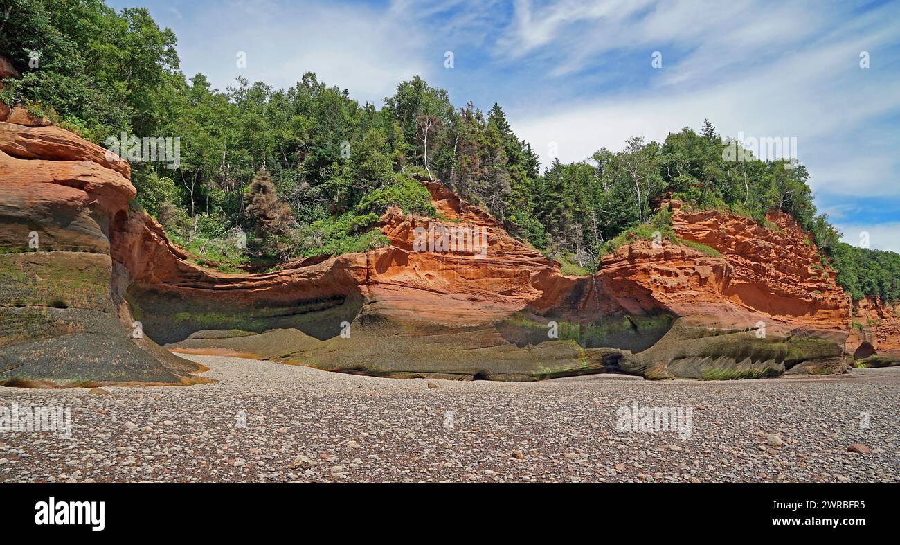 Wooded cliffs, red sandstone, Five Islands Provincial Park, Fundy Bay ...