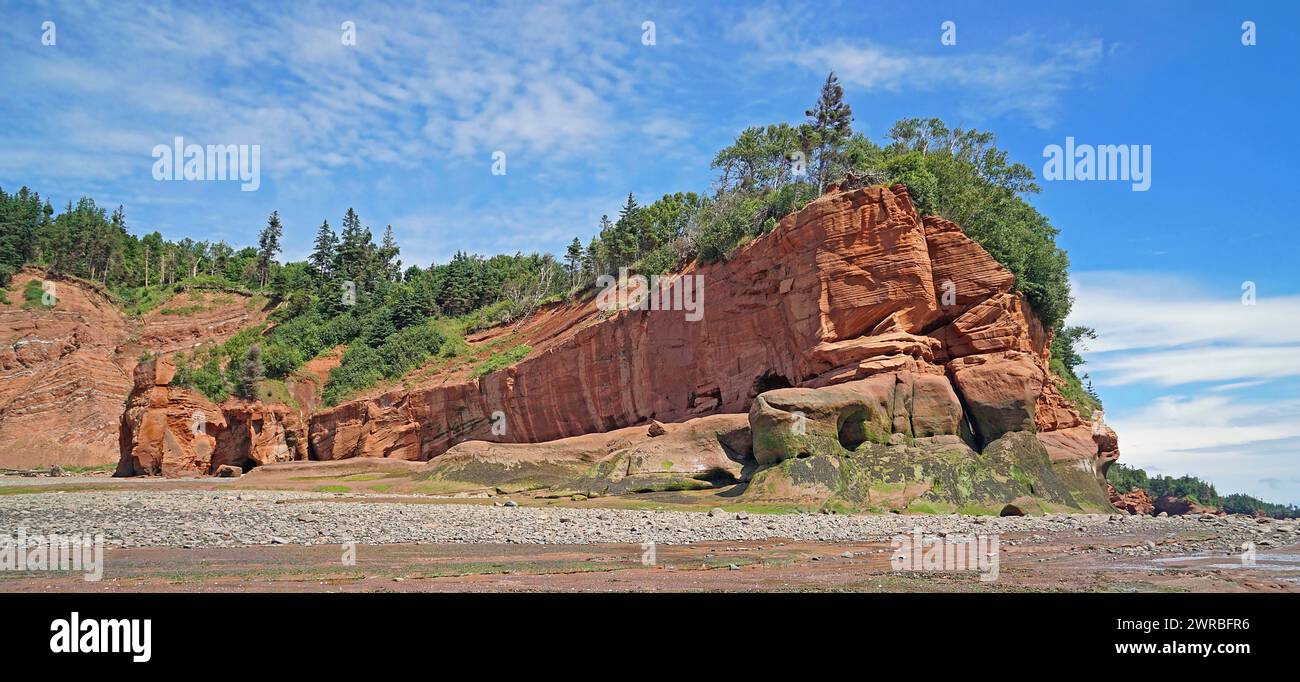 Wooded cliffs, red sandstone, Five Islands Provincial Park, Fundy Bay ...