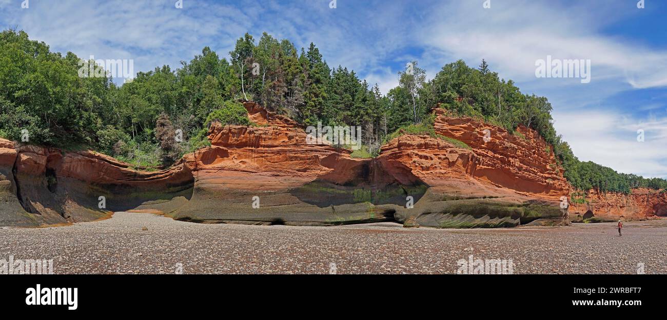 Wooded cliffs, red sandstone, Five Islands Provincial Park, Fundy Bay ...