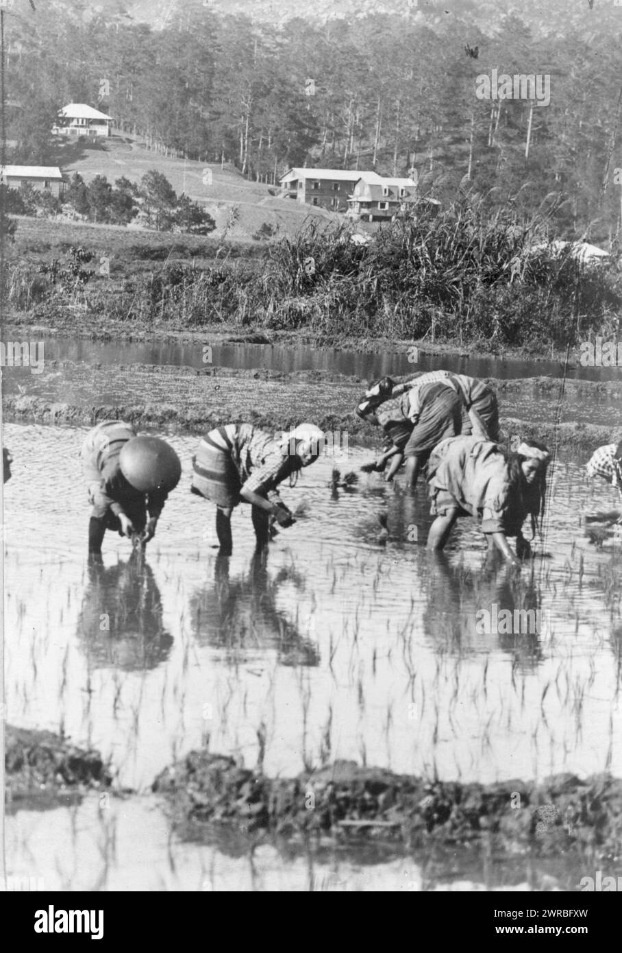 Filipinos subsistence activities philippines 1890 1930 hi-res stock ...