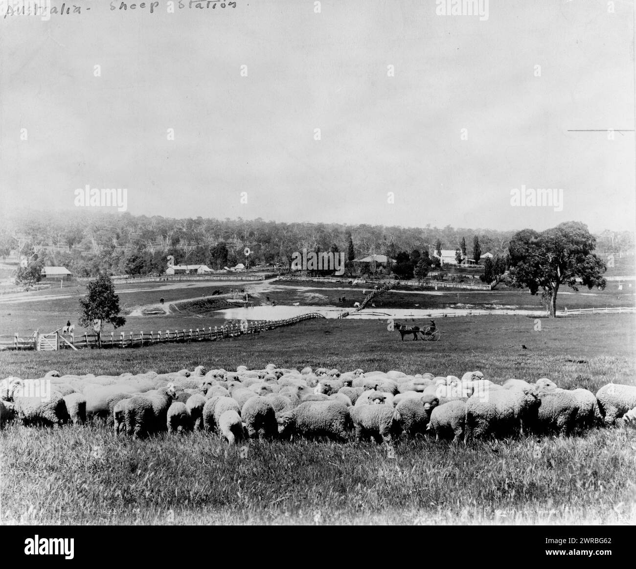 Sheep station australia hi-res stock photography and images - Alamy