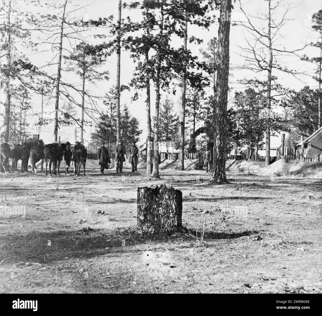 David bell hi-res stock photography and images - Alamy