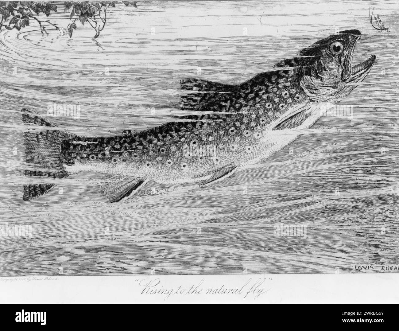 Rising to the natural fly, Louis Rhead., Brook trout going after a fly ...
