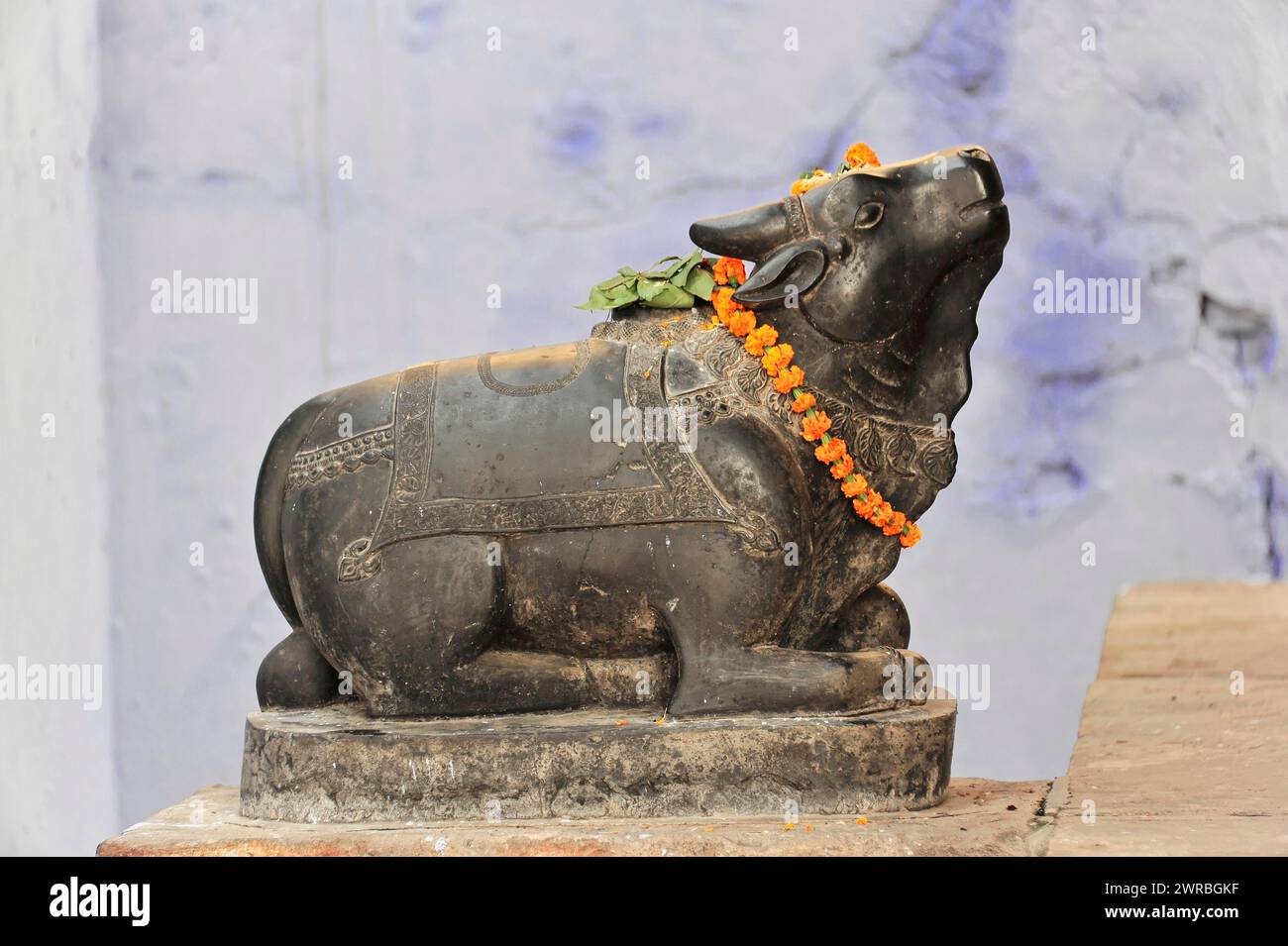 Stone statue of Nandi, the bull, adorned with a flower necklace ...