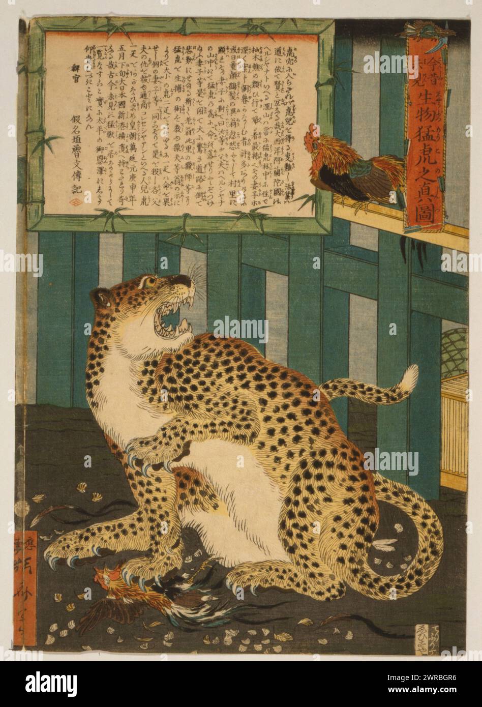 Seibutsu hi-res stock photography and images - Alamy