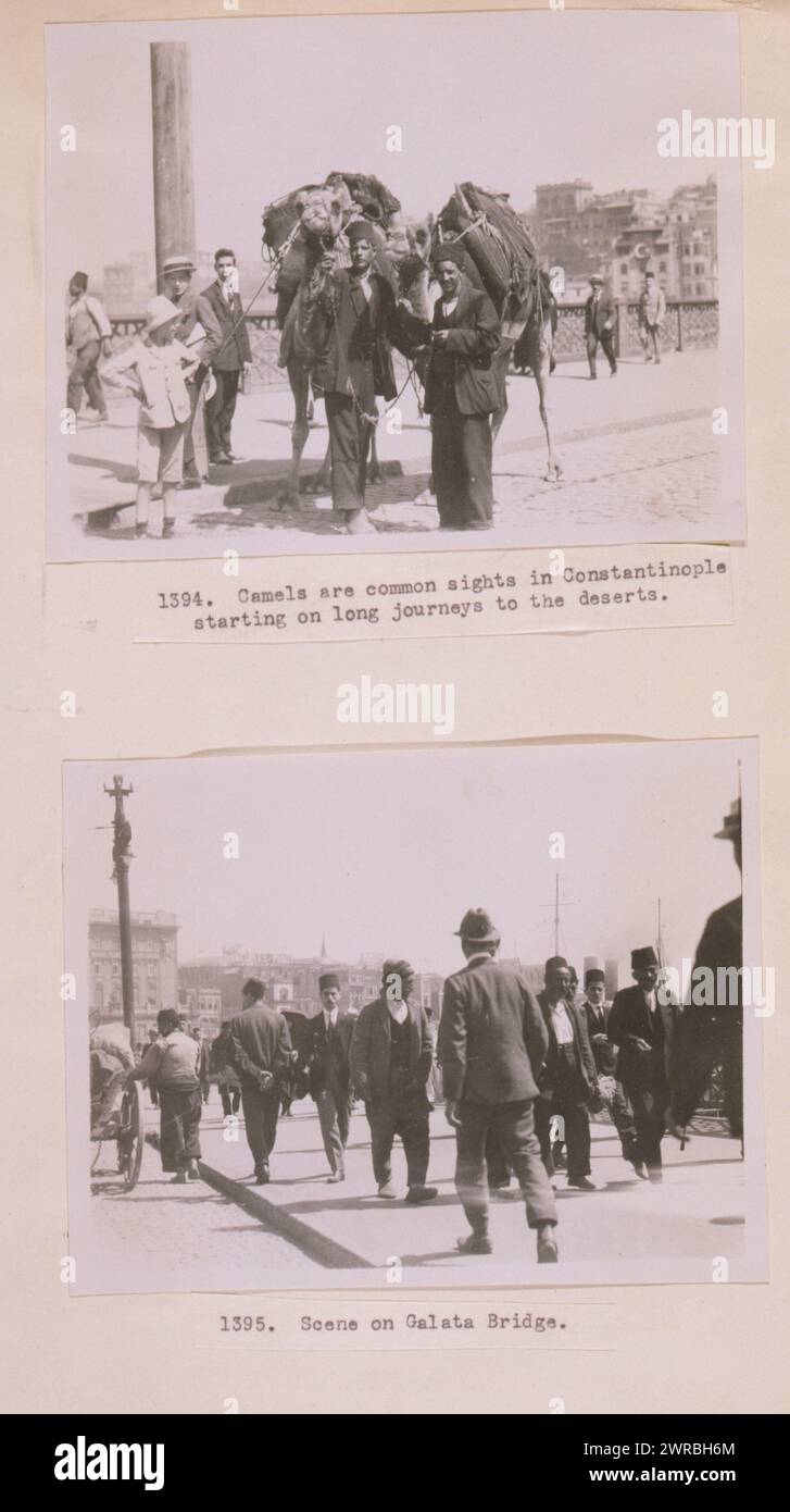 Camels are common sights in Constantinople starting on long journeys to the desert Scene on ...