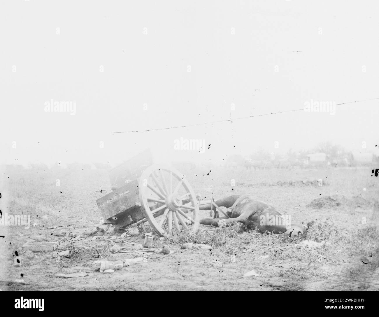 The dead mule hi-res stock photography and images - Alamy