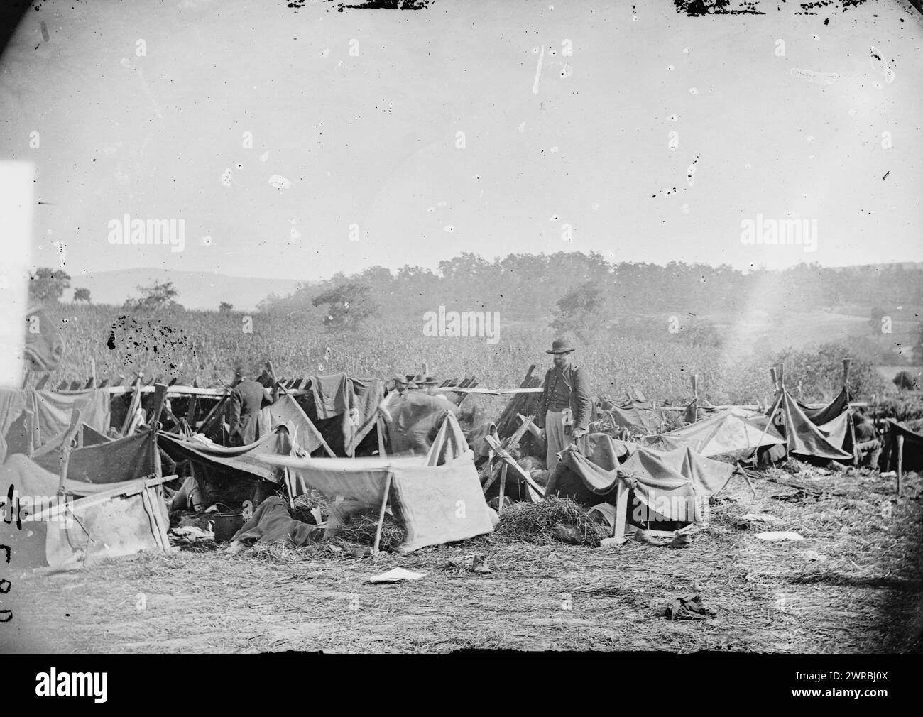 United states army indiana infantry regiment Black and White Stock ...