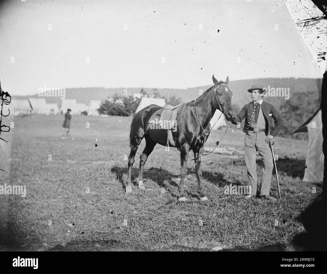 Celebrated war horse hi-res stock photography and images - Alamy