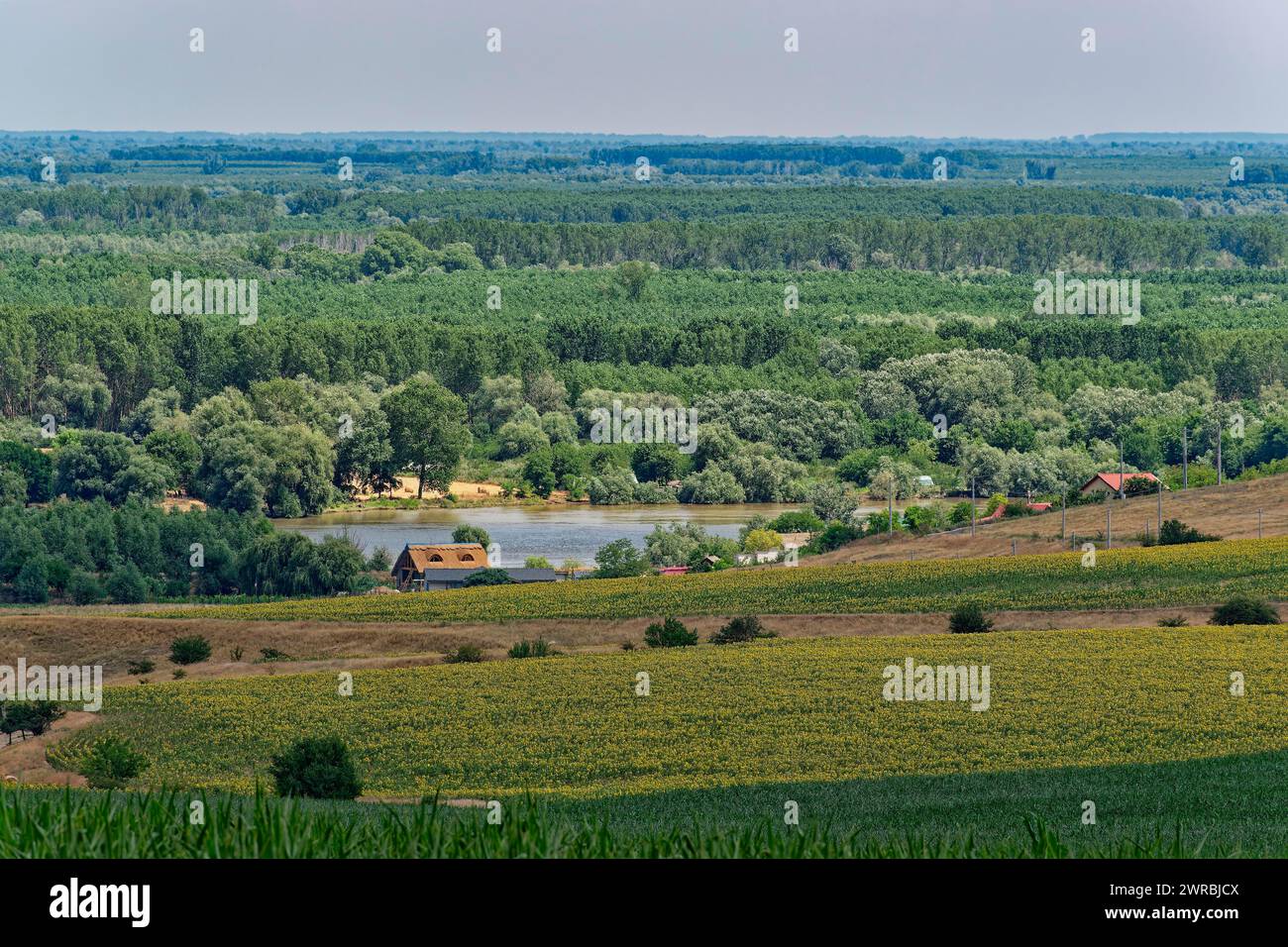 Landscape on the Saint George Branch, the southern arm of the Danube in ...