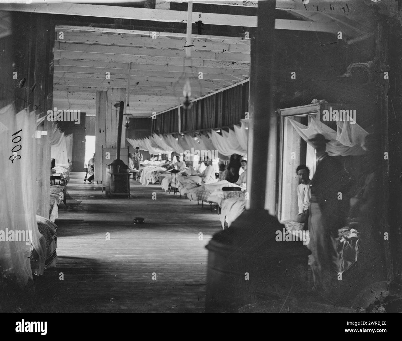 Washington, D.C. Patients in ward of Harewood Hospital; mosquito nets ...