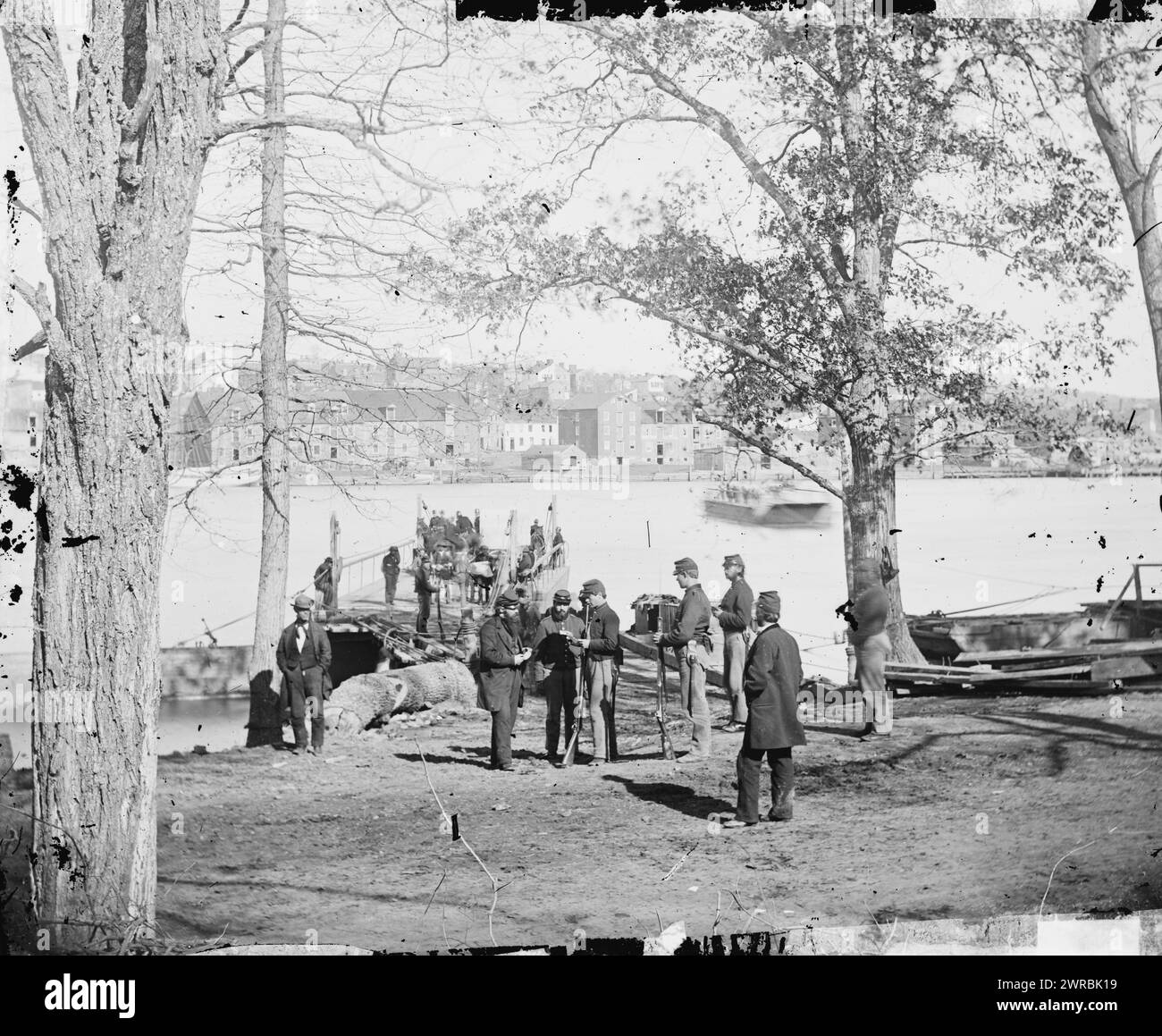 Masons island examining hi-res stock photography and images - Alamy