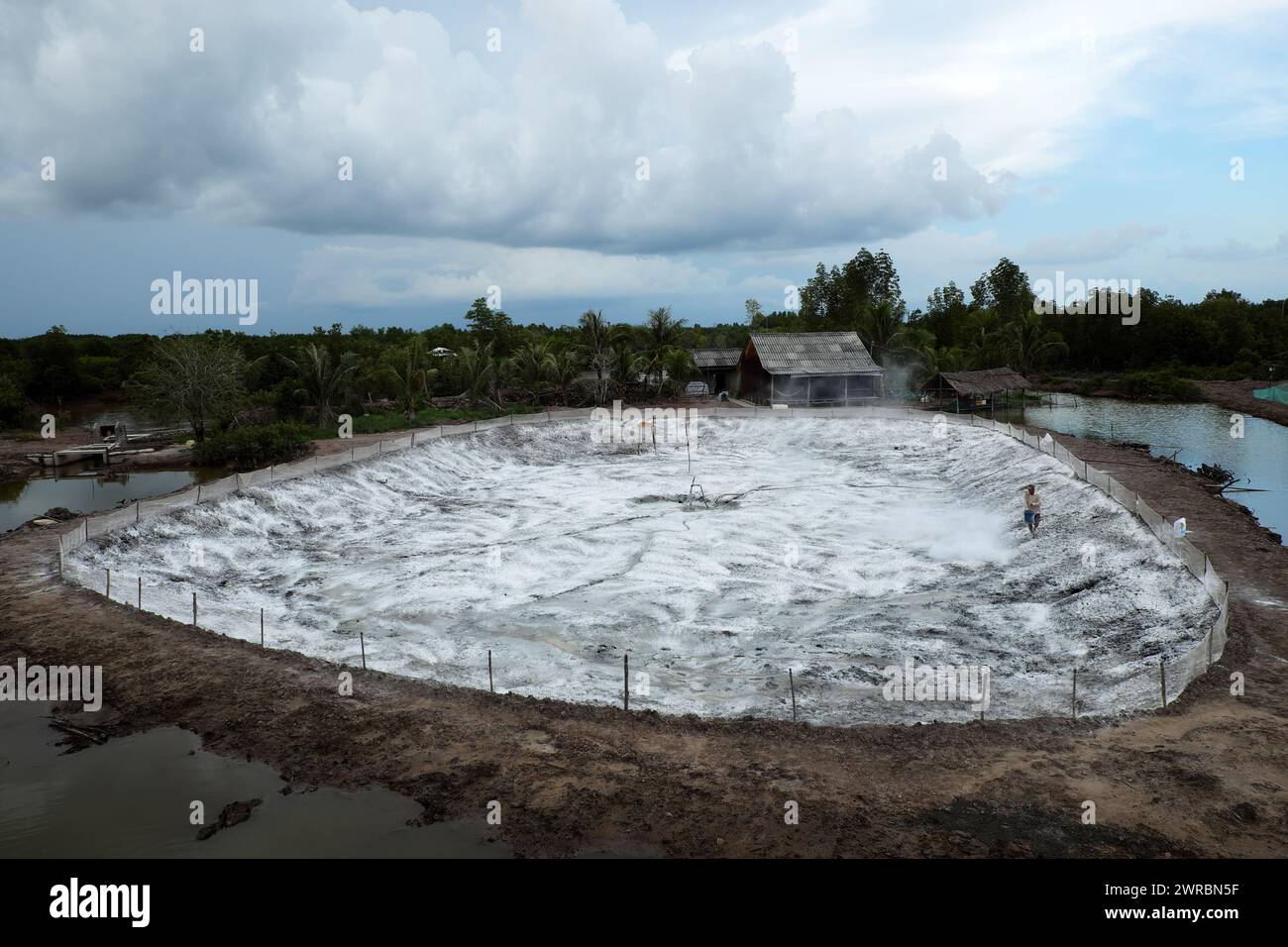 Worker apply agricultural limestone to neautralize soil acidity ...