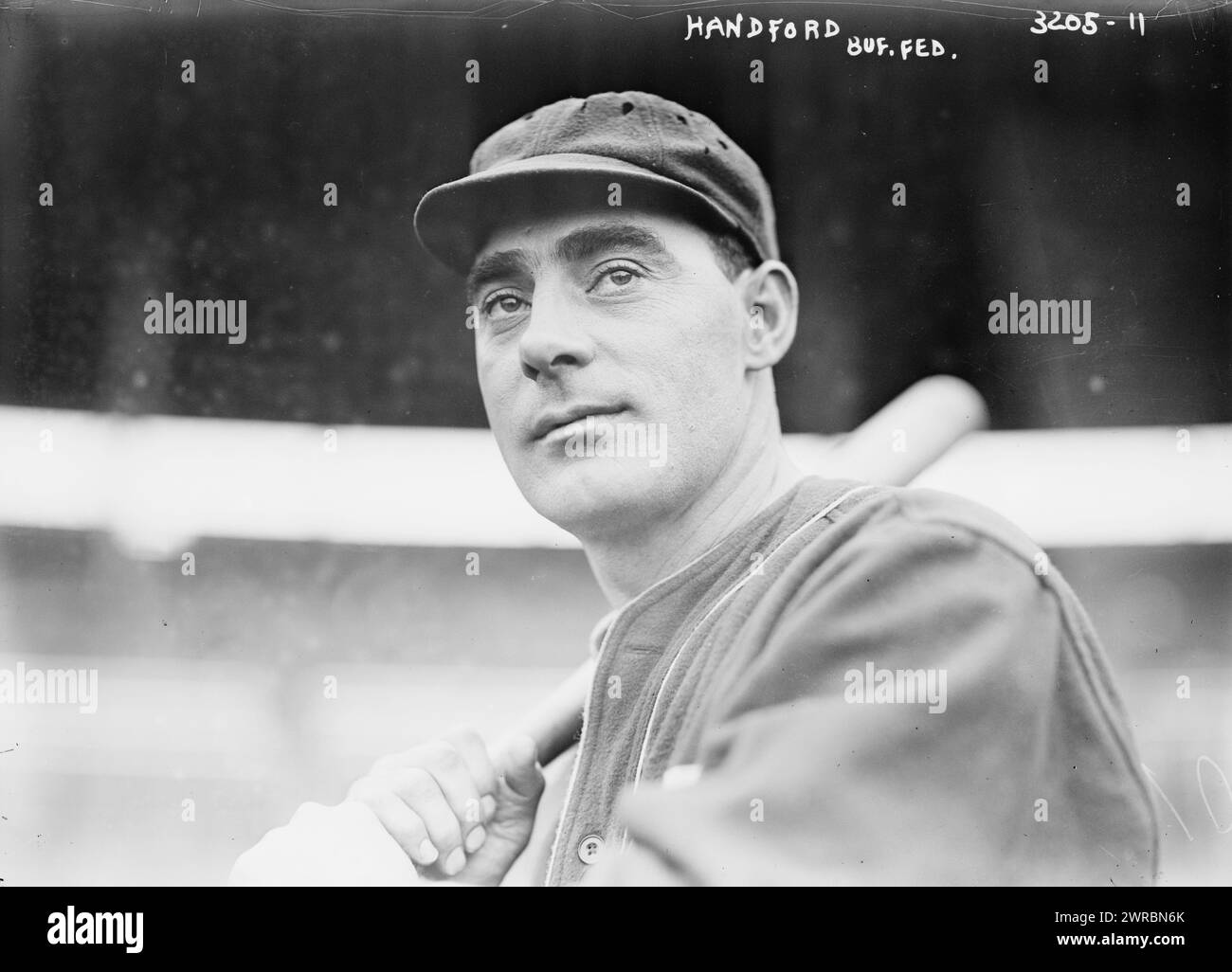 Charlie the buffalo Black and White Stock Photos & Images - Alamy