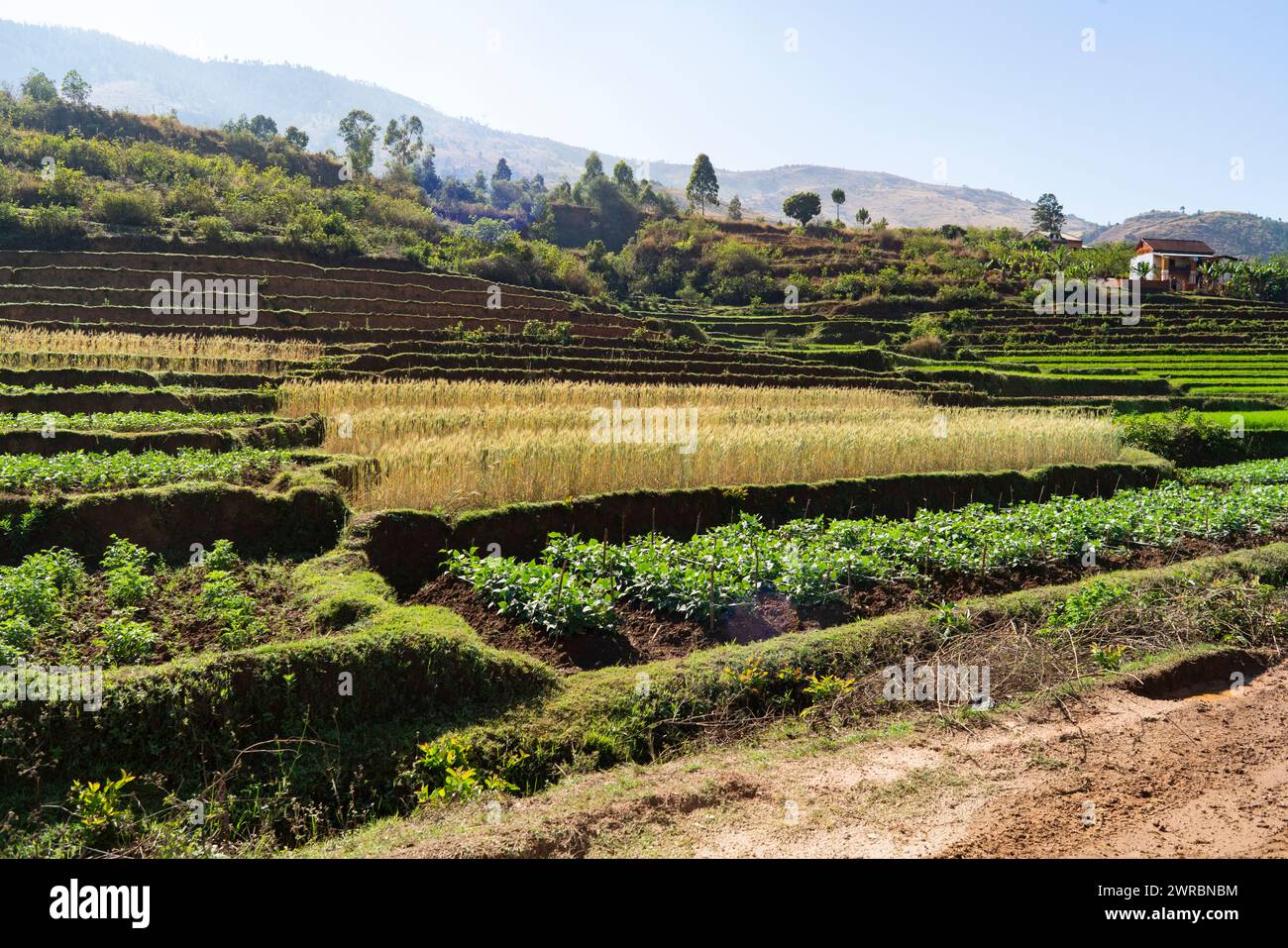 Antsirabe ii hi-res stock photography and images - Alamy
