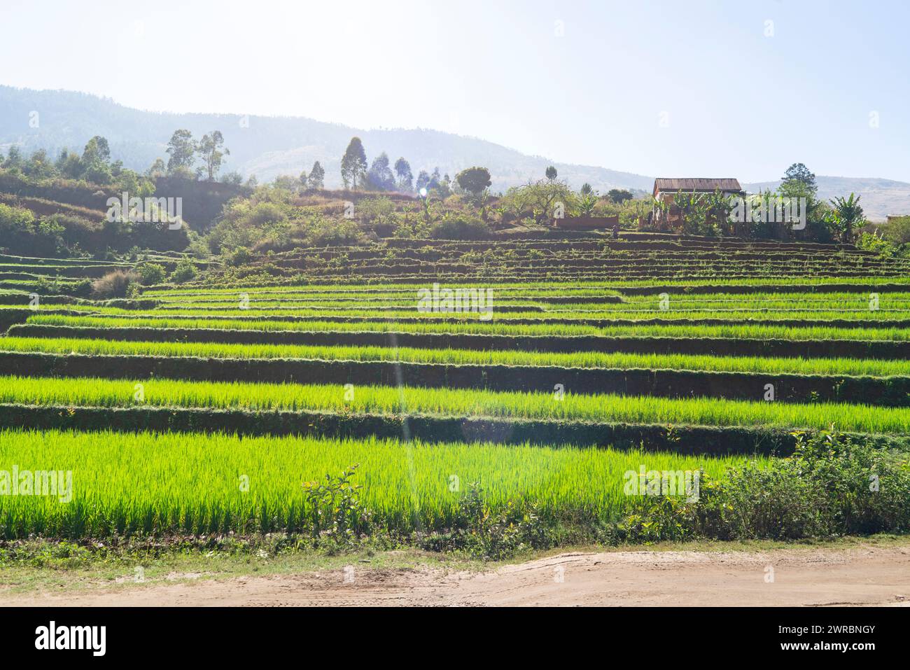 Antsirabe ii hi-res stock photography and images - Alamy