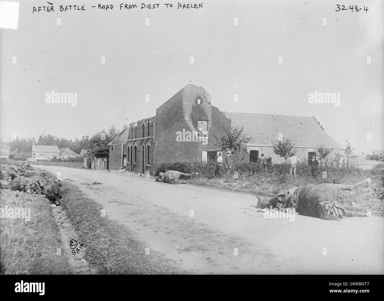 After Battle, Road from Diest to Haelen, Photograph shows dead horses ...