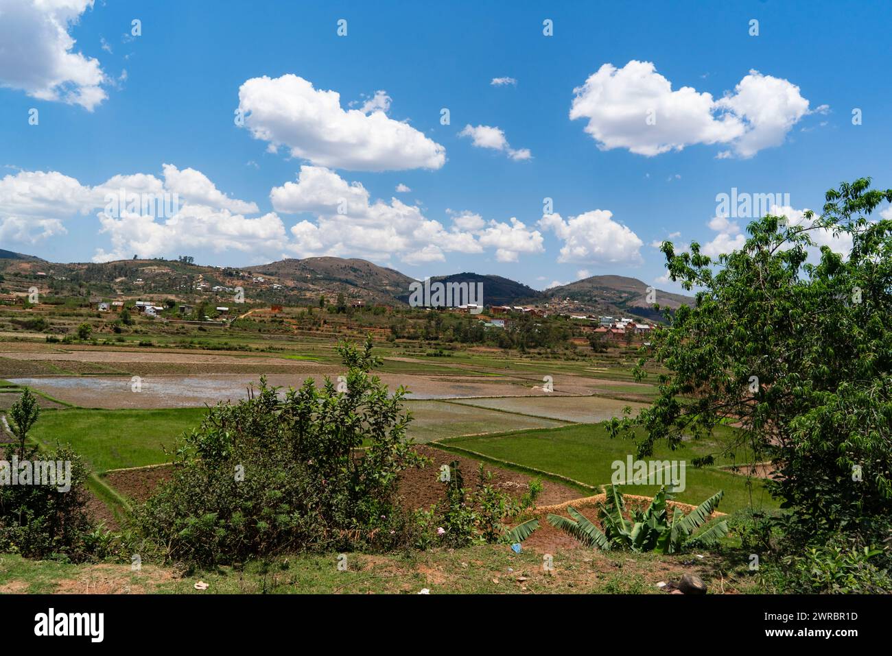 Rice fields, Ambositra, Amoron I Mania, Madagascar Stock Photo - Alamy