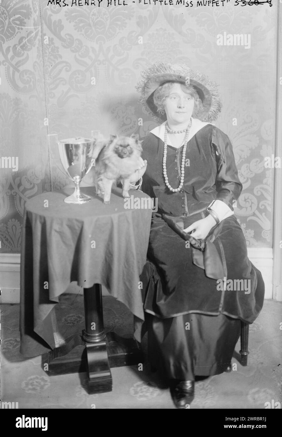 Mrs. Henry Hill, 'Little Miss Muffet', pet, between ca. 1910 and ca ...