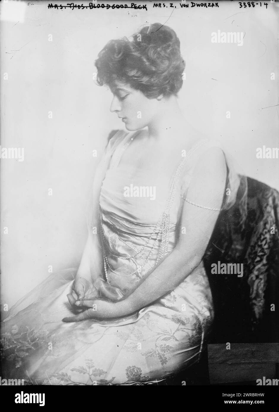 Mrs. Z. von Dworzak, Photograph shows the former Mrs. Thomas Bloodgood ...