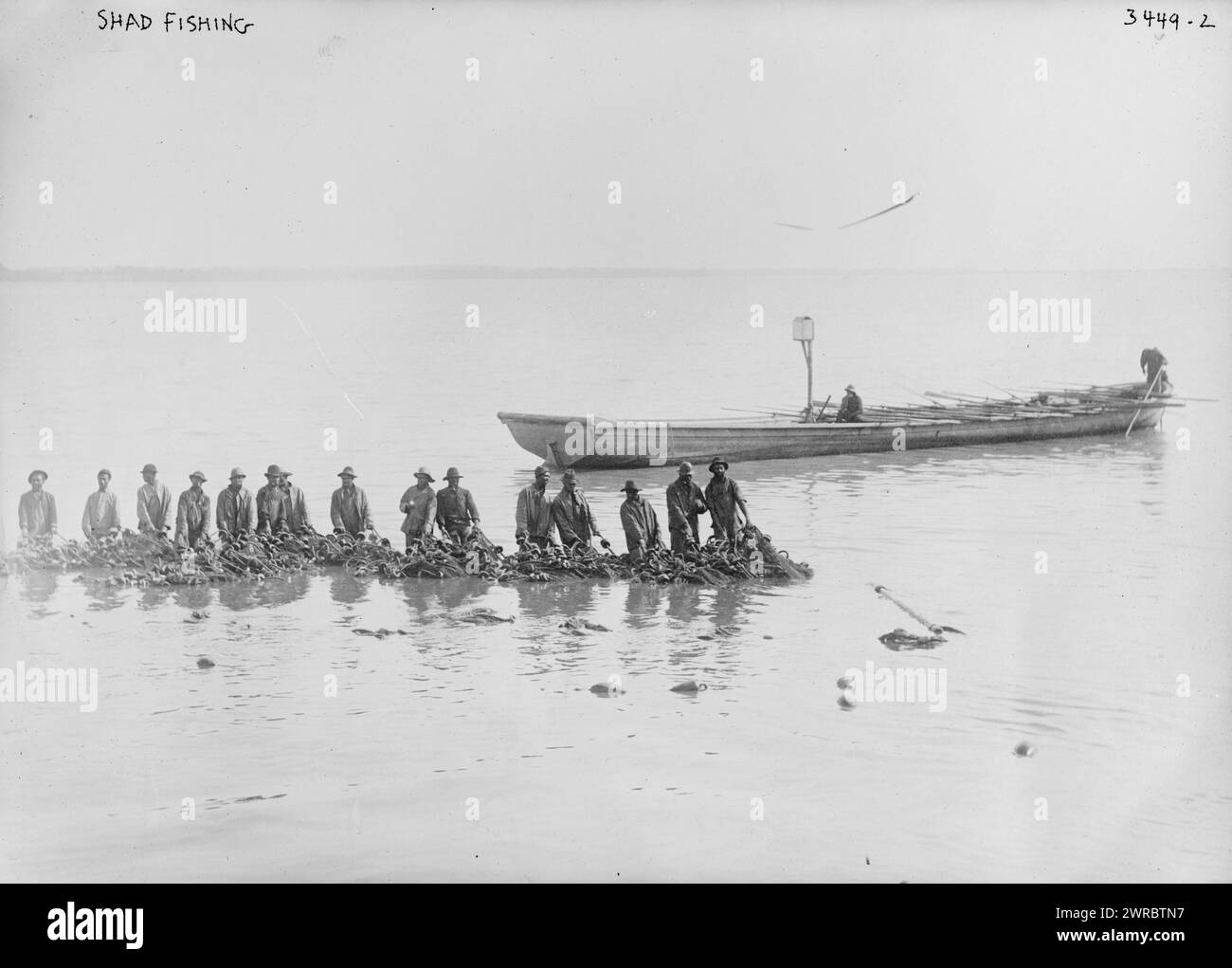 Shad fishing, Photograph shows African American fishermen standing in ...