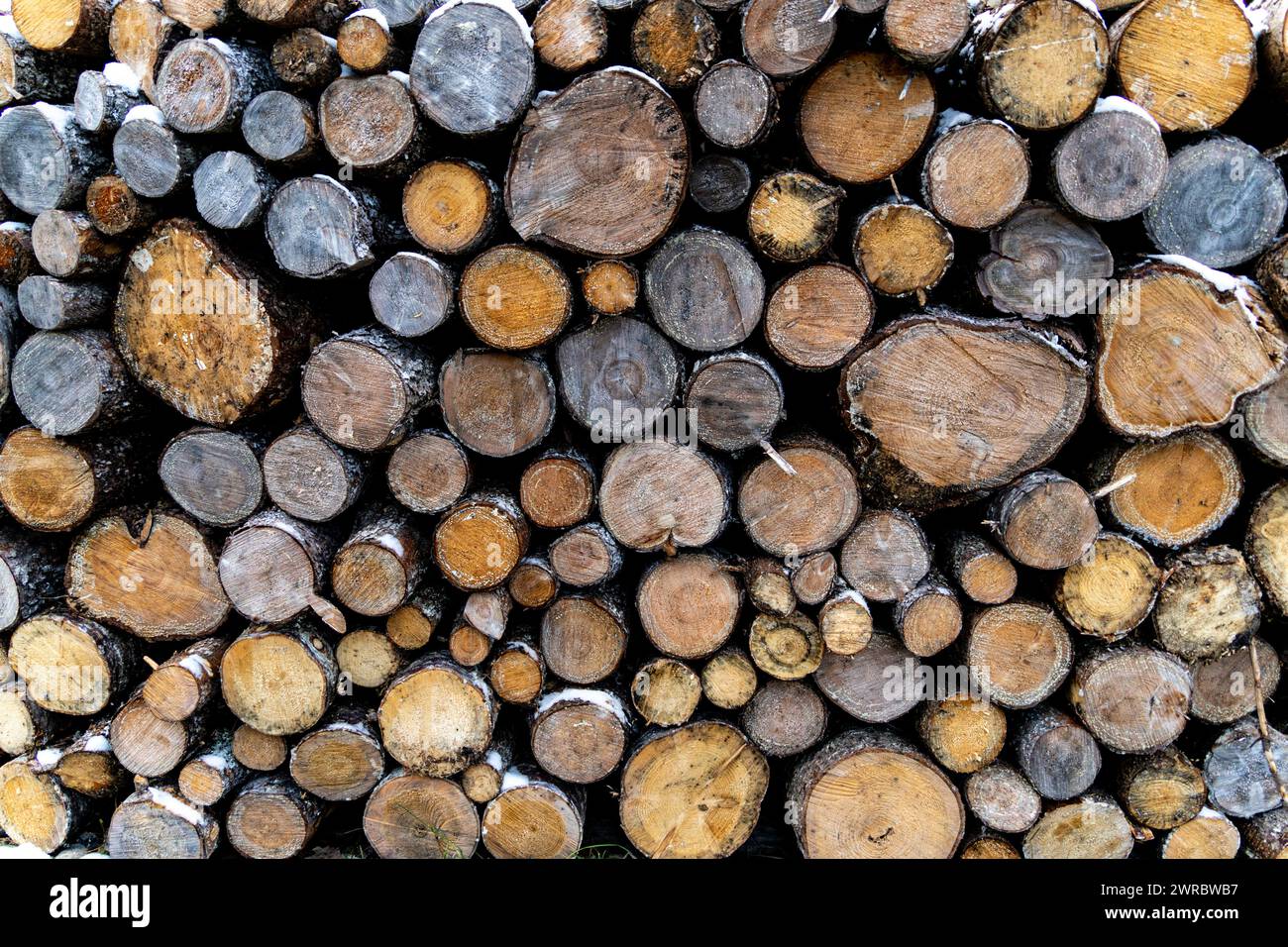 Wood stack cut ends Stock Photo - Alamy