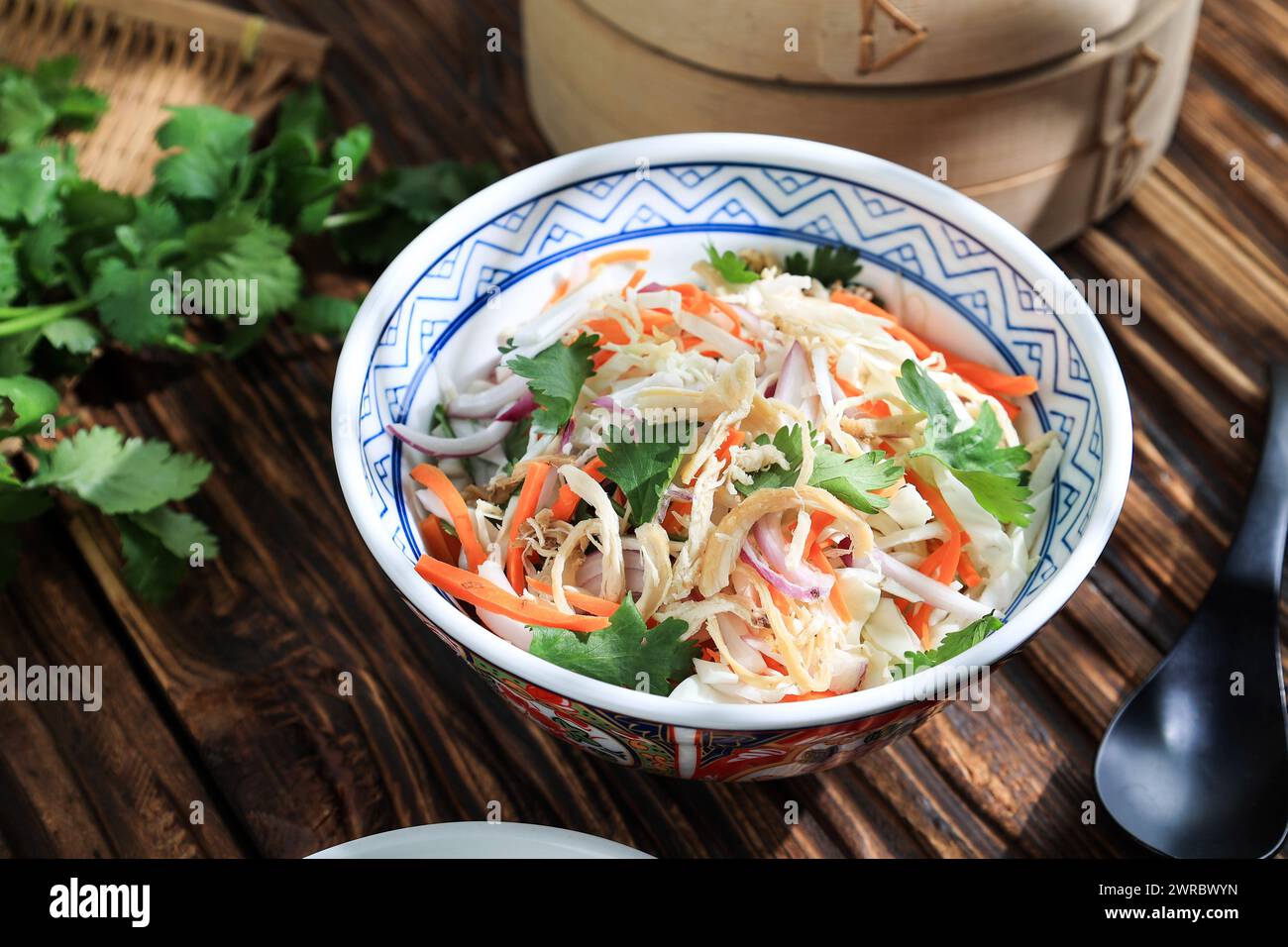 Goi Ga Vietnam Fresh Chicken Salad Stock Photo - Alamy