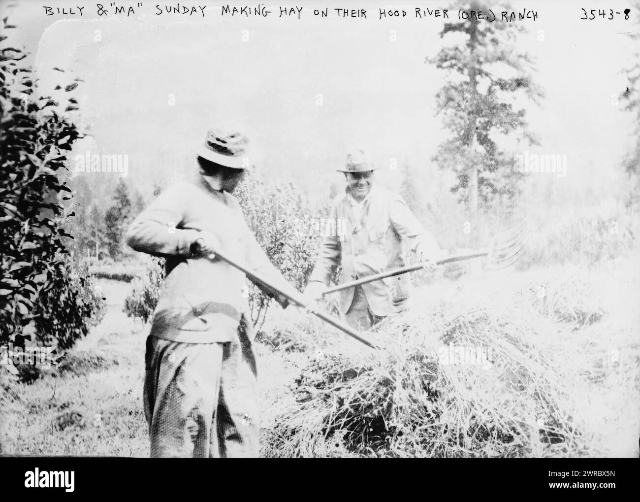 Billy and 'Ma' Sunday making hay on their Hood River (Ore.) ranch, 1917 ...