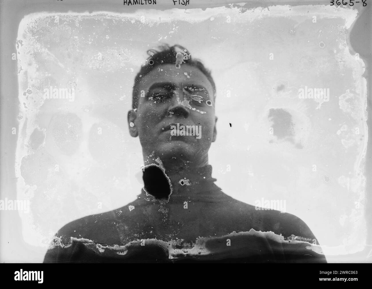 Hamilton fish hi-res stock photography and images - Alamy