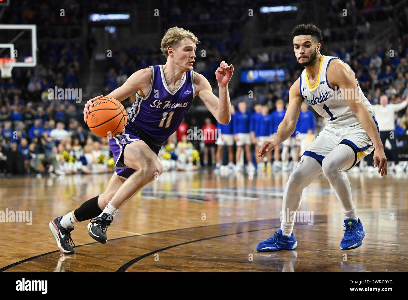 St. Thomas - Minnesota Tommies guard Drake Dobbs (11) drives to the ...