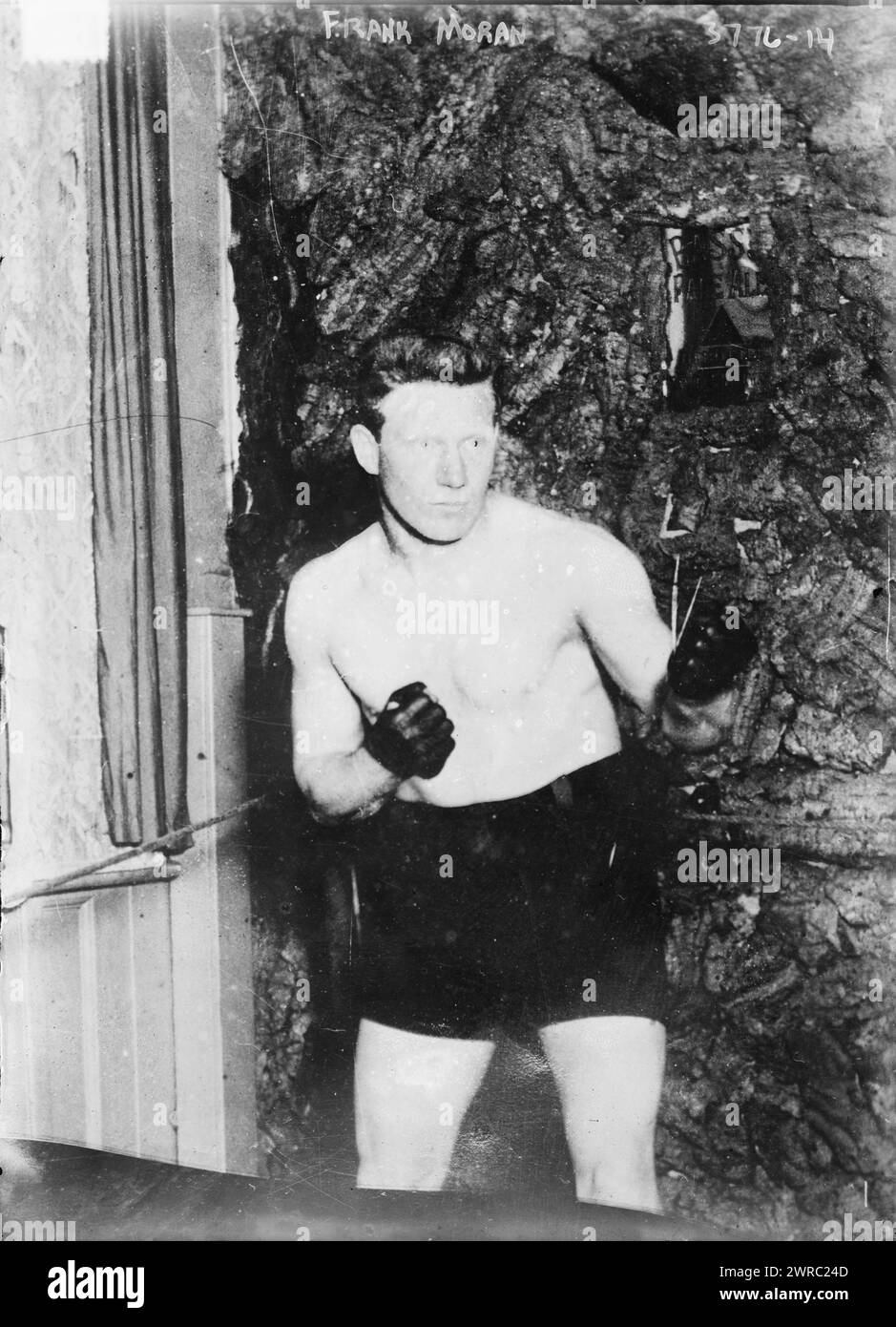Frank Moran, Photograph shows American boxer and film actor Charles ...