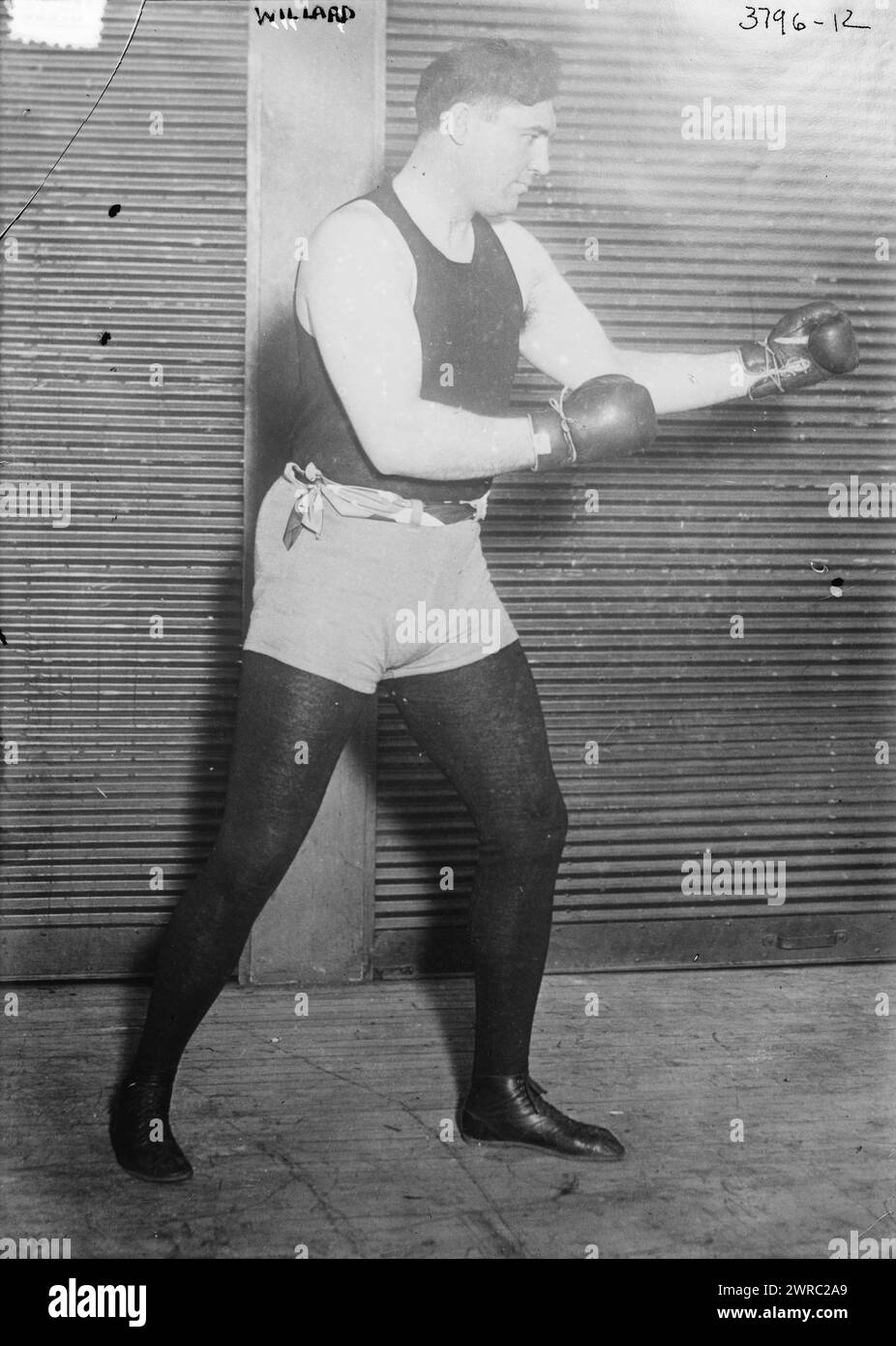 Jess Willard, Photo shows heavyweight boxer Jess Willard (1881-1968 ...