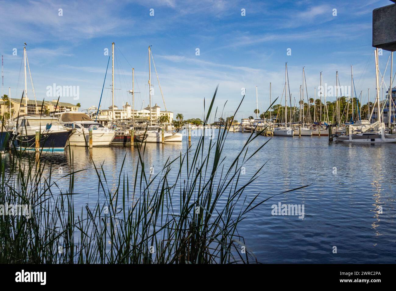 Sail through the grass Stock Photo - Alamy
