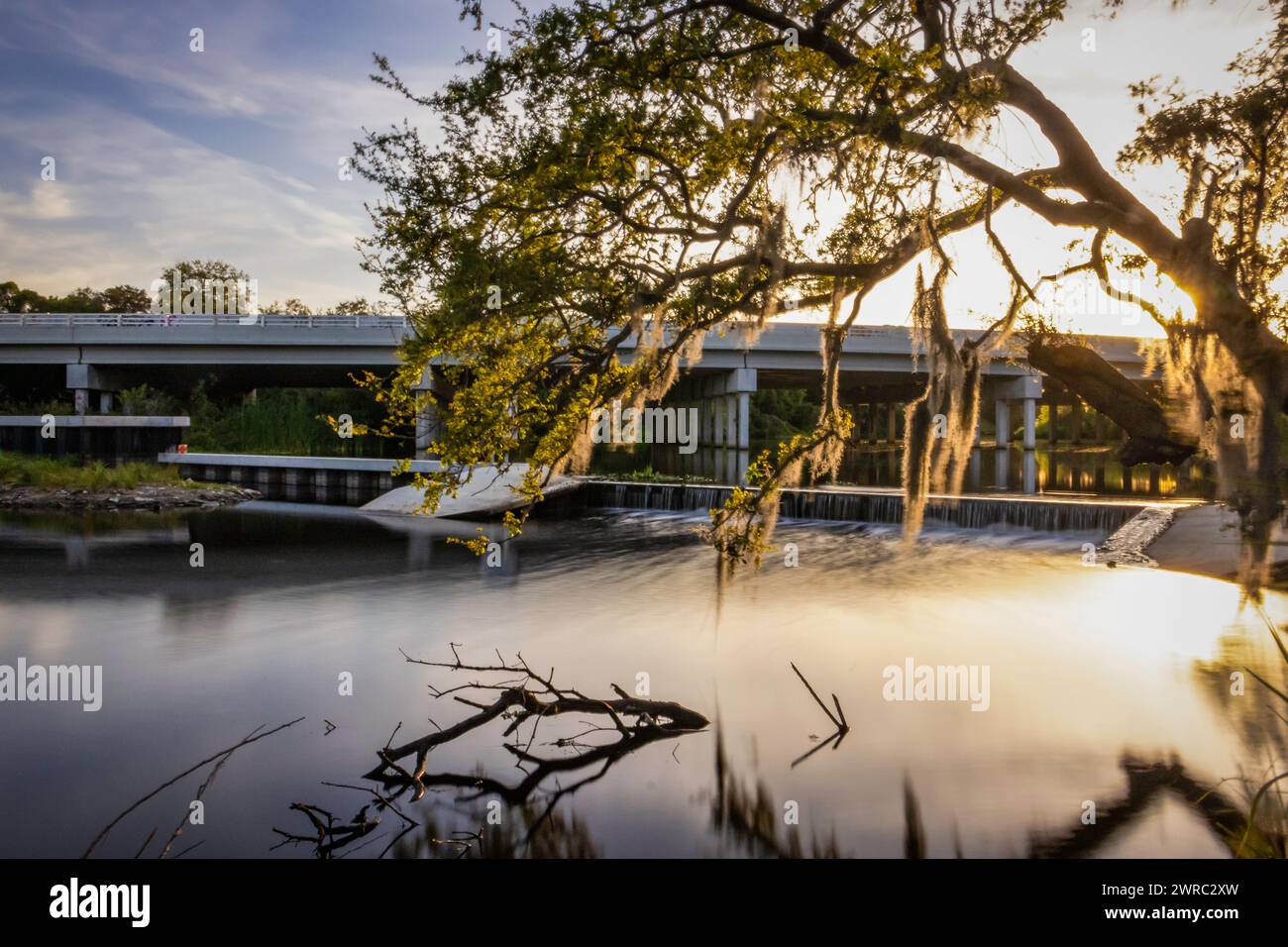 Oakey oaks hi-res stock photography and images - Alamy