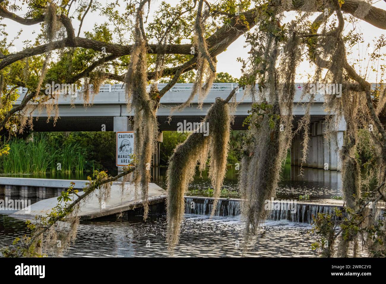 Oakey hi-res stock photography and images - Alamy