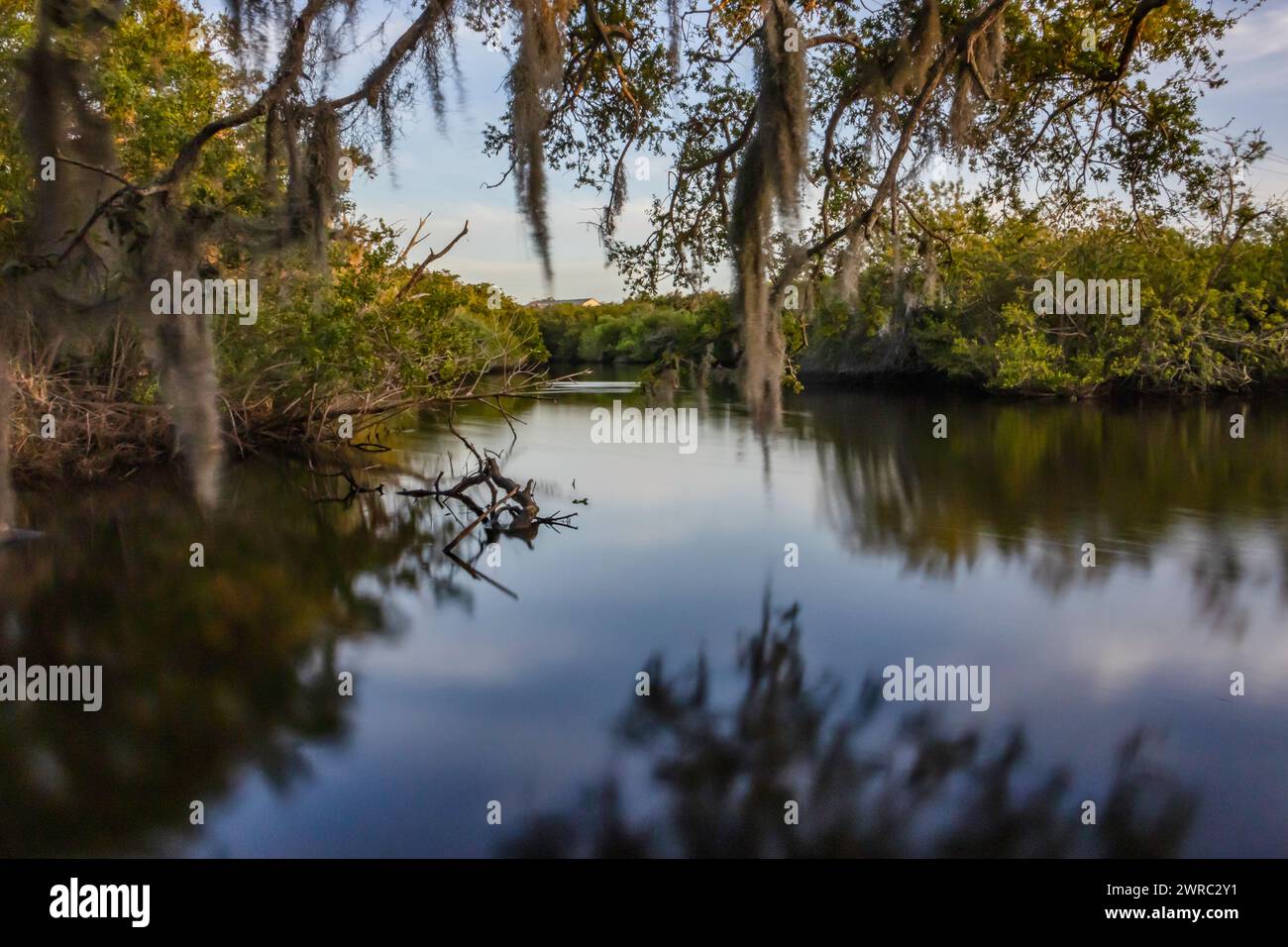 Oakey hi-res stock photography and images - Alamy