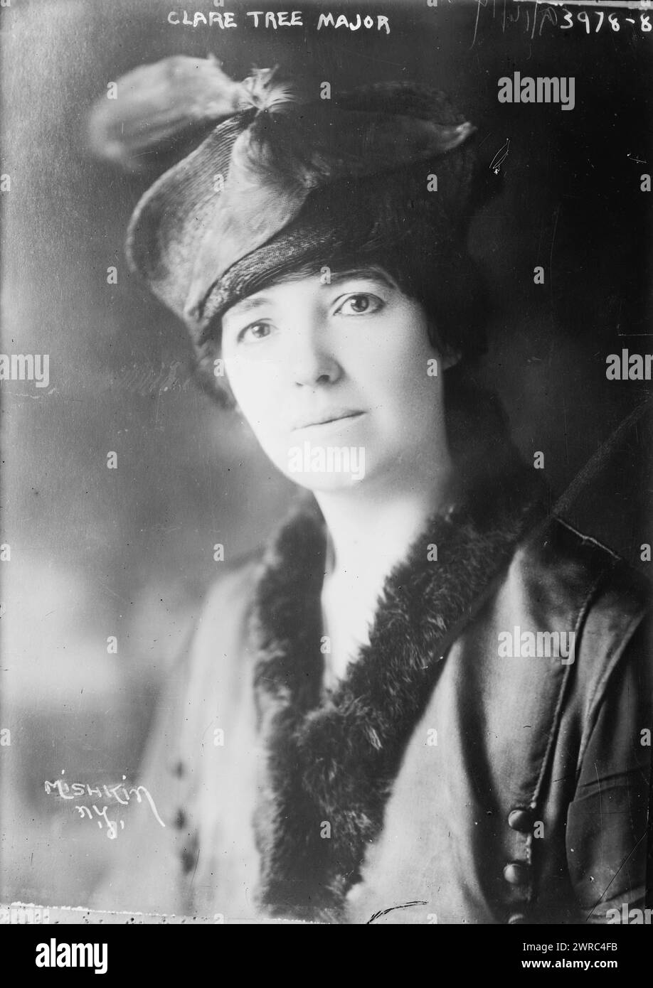 Clare tree major hi-res stock photography and images - Alamy