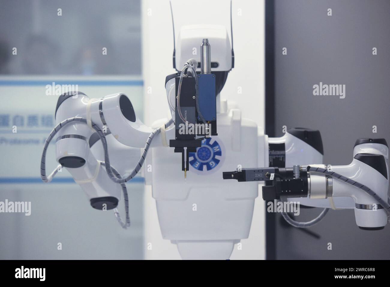 Hangzhou, China. 12th Mar, 2024. HANGZHOU, CHINA - MARCH 7, 2024 - A ...