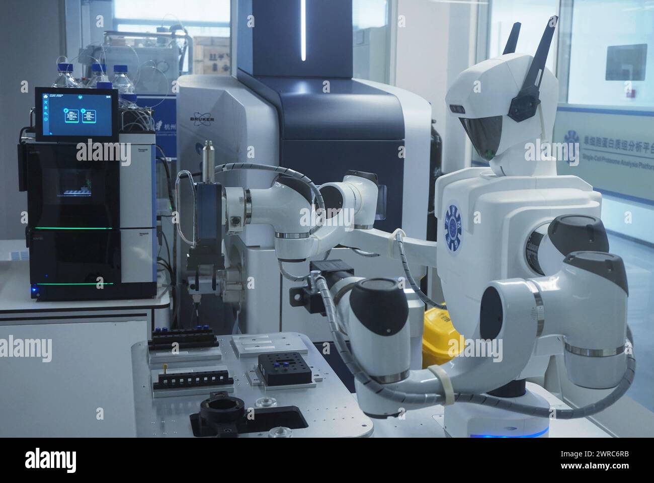 Hangzhou, China. 12th Mar, 2024. HANGZHOU, CHINA - MARCH 7, 2024 - A ...