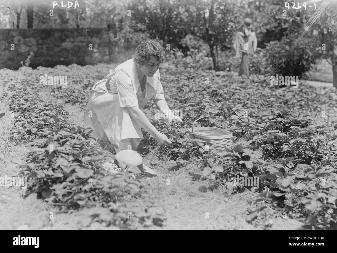 New york long island house Black and White Stock Photos & Images - Alamy