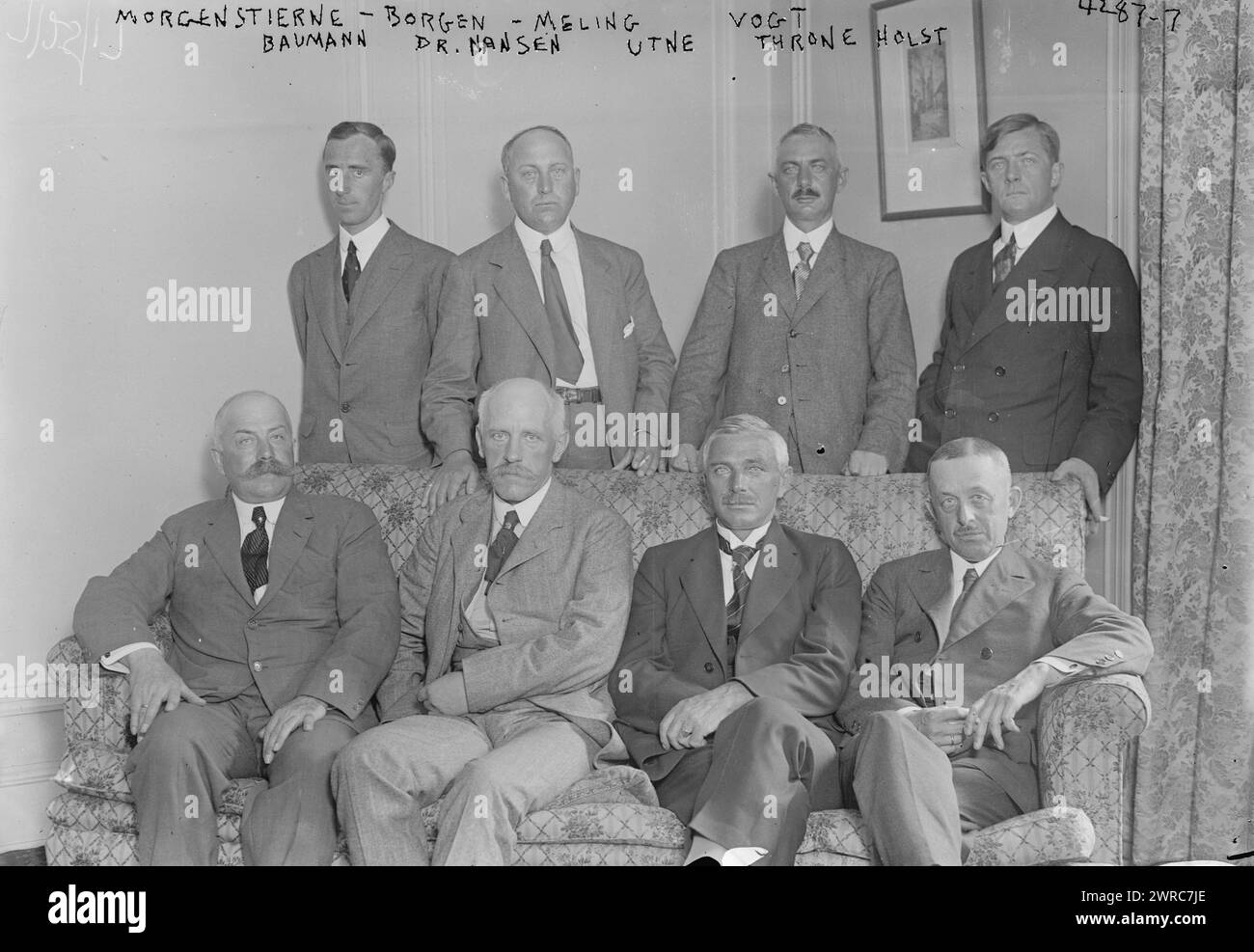 Morgenstierne hi-res stock photography and images - Alamy