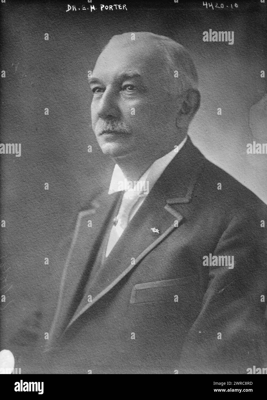 New york homeopathic medical college hi-res stock photography and ...