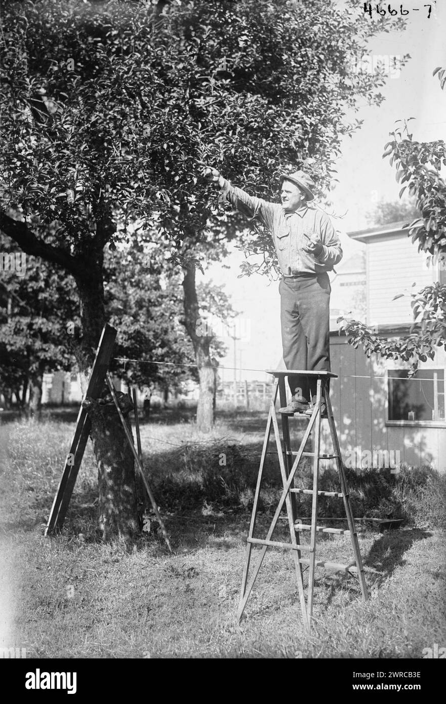 Billy Murray, Photograph shows popular singer William Thomas 'Billy ...