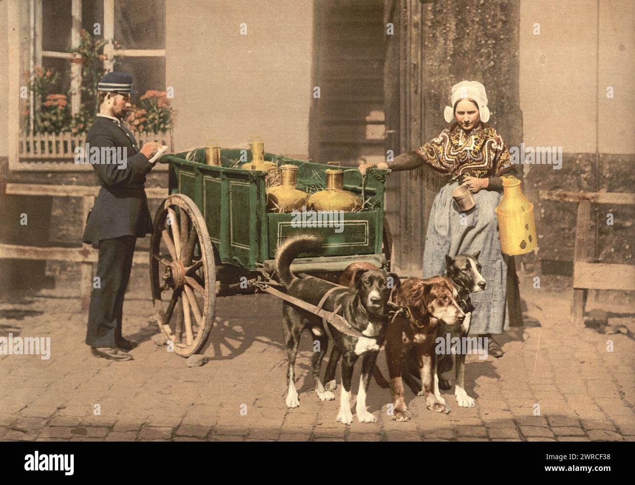 Flemish milk women, Antwerp, Belgium, Print shows a female milk peddler ...