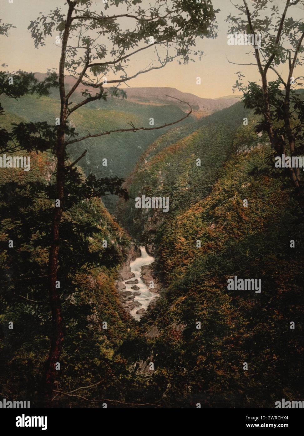 Rheidol Falls, from Devil's Bridge, Aberystwith, Wales, between ca ...